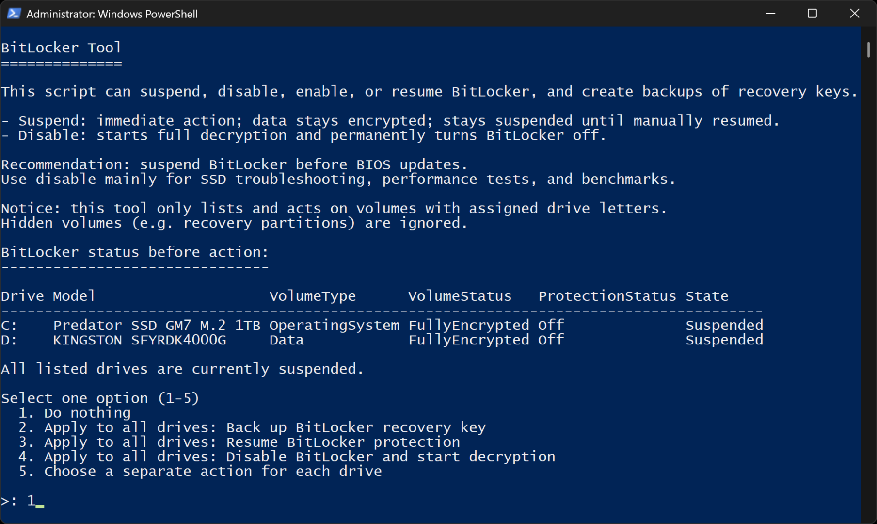 BitLocker (and Device encryption) Tool - Download Portal